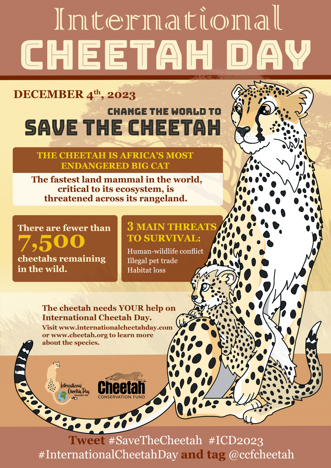International Cheetah Day